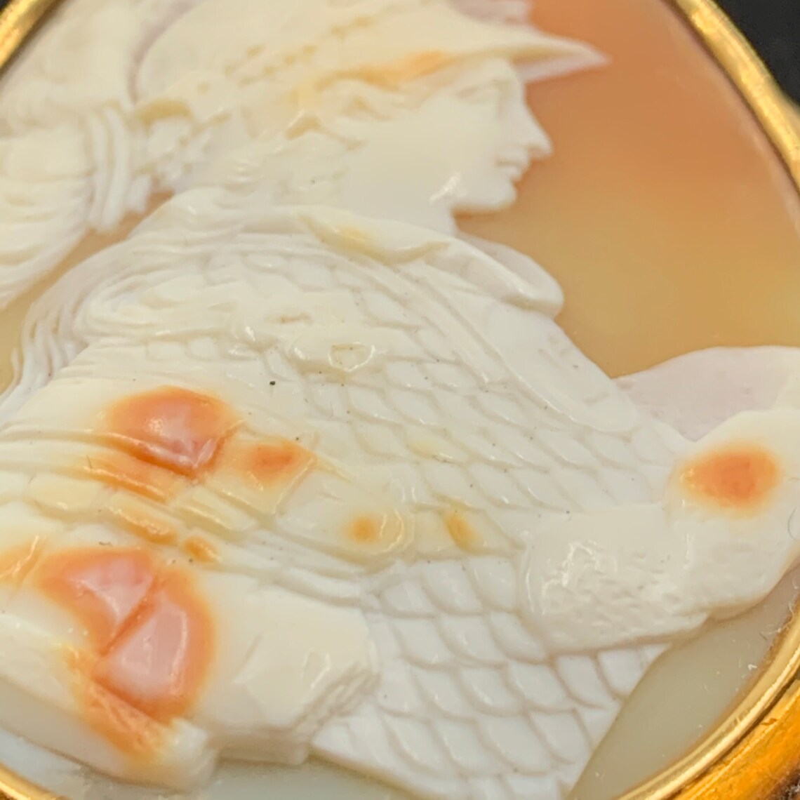 Cameo Antique Shell Goddess Athena Brooch Gold Hand Carved Fancy ...