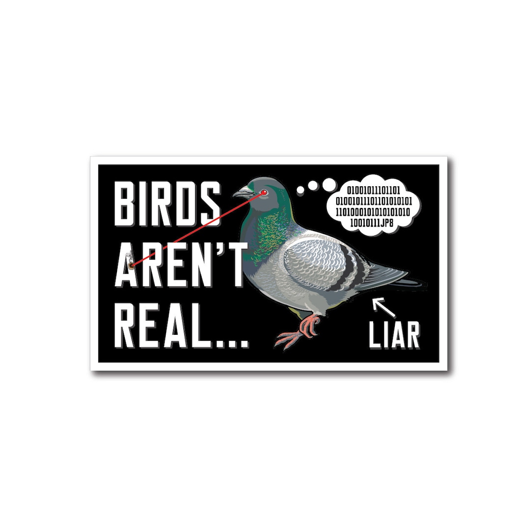 Birds Aren't Real Sticker - Etsy