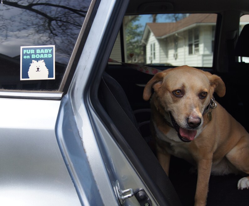 Fur Baby on Board Bumper Sticker | Etsy