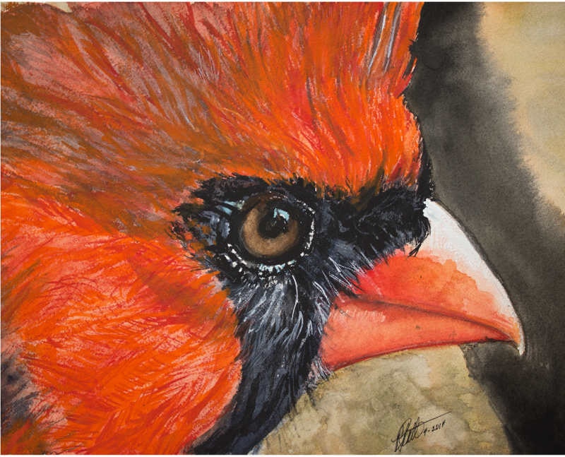 Cardinal Eye - Etsy