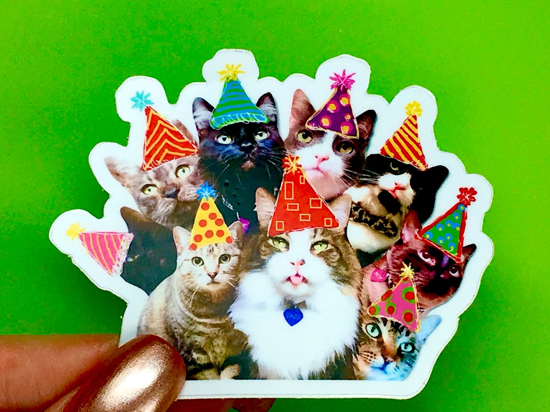Cat Stickers/party Cats/2024/vinyl Stickers/happy Birthday/kitty ...