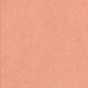Peach Sorbet Felt- Wool Blend- 2 Sizes Available - Etsy