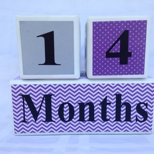 Custom Milestone Blocks for Baby and Pregnancy Purple and Grey ...
