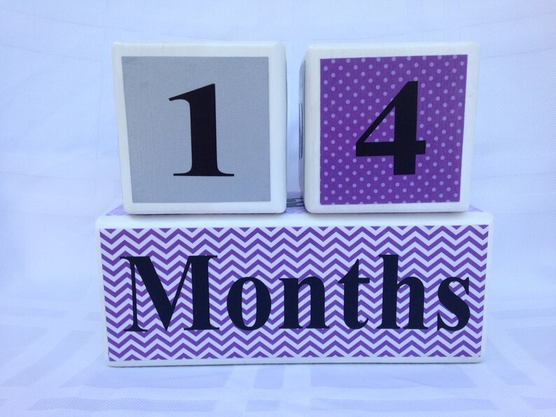 Custom Milestone Blocks for Baby and Pregnancy, Maternity Photo Prop ...
