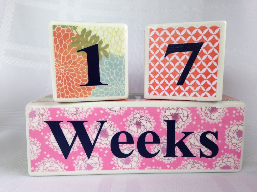 Custom Milestone Blocks for Baby and Pregnancy Pink/floral, Maternity ...