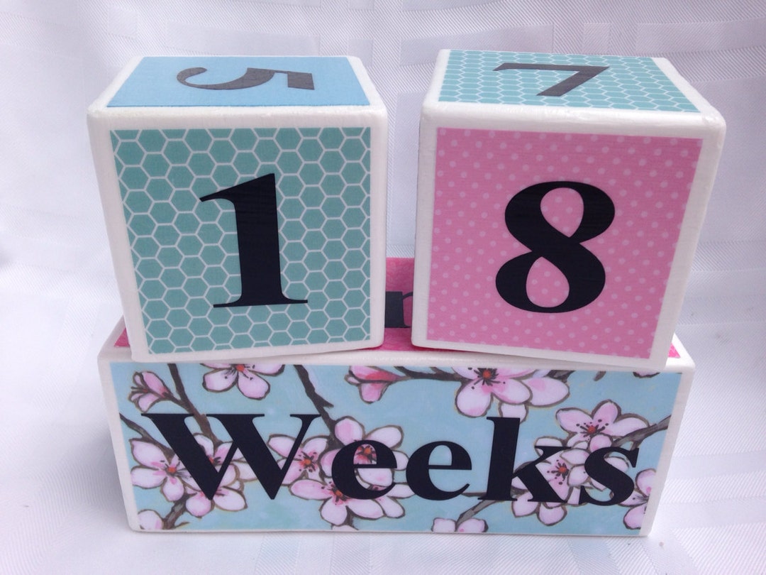 Custom Milestone Blocks for Baby and Pregnancy: Pink and Teal ...