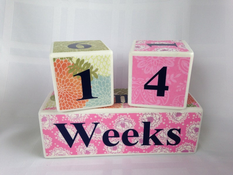 Custom Milestone Blocks for Baby and Pregnancy Pink/floral, Maternity ...
