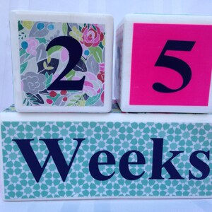 Custom Milestone Blocks for Baby and Pregnancy Floral,maternity Photo ...