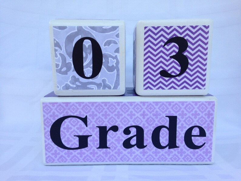 Custom Milestone Blocks for Baby and Pregnancy, Maternity Photo Prop ...