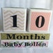 Custom Weeks/months Blocks for Baby and Pregnancy, Maternity Photo Prop ...
