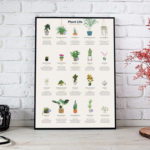 Houseplant Poster // Plant Print // Monstera Deliciosa - Etsy