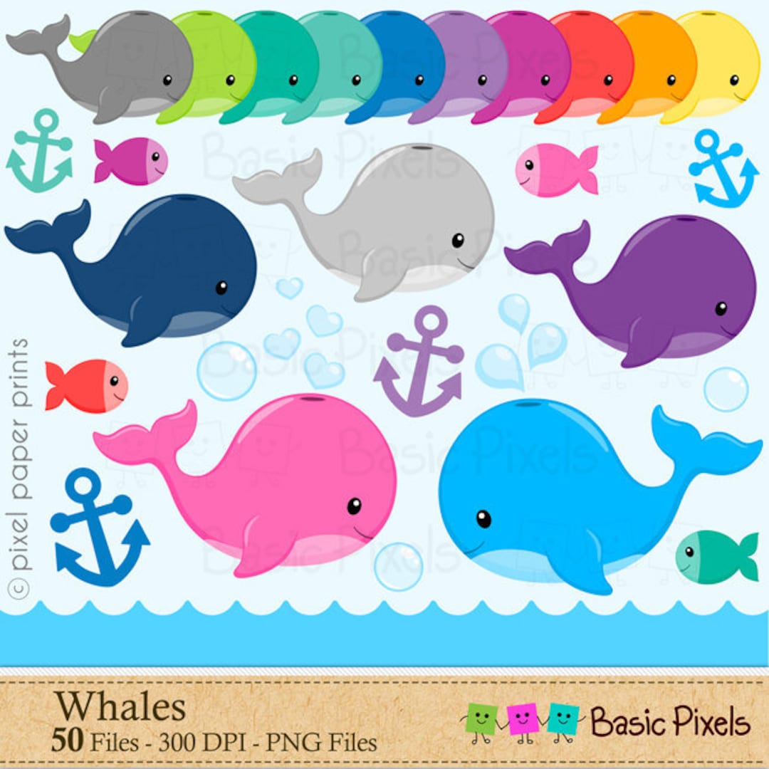 Cute Whale Clipart – Colorful Ocean PNG Graphics (digital Download) - Etsy