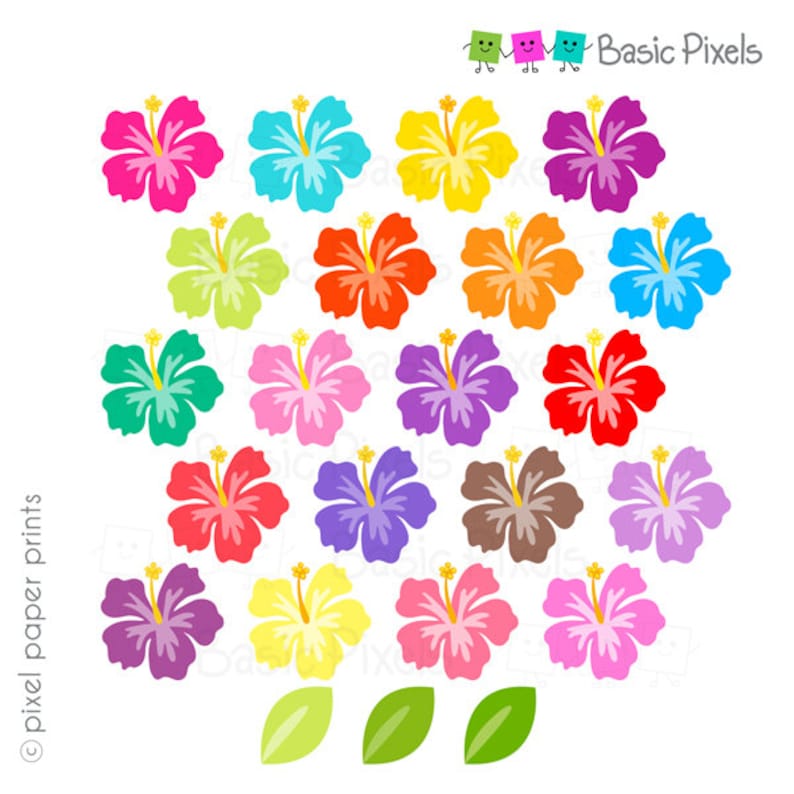 Hibiscus Clipart Hibiscus Flower Clip Art Commercial Use - Etsy