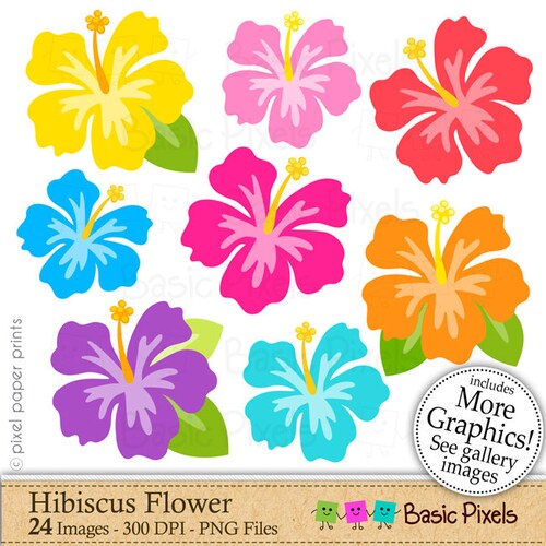 Hibiscus Clipart Hibiscus Flower Clip Art Commercial Use - Etsy