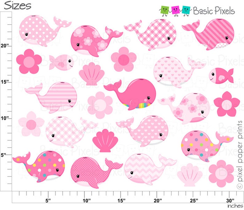 Pink Whales Clipart Digital Clip Art Personal and - Etsy