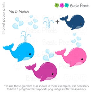 Cute Whale Clipart – Colorful Ocean PNG Graphics (digital Download) - Etsy