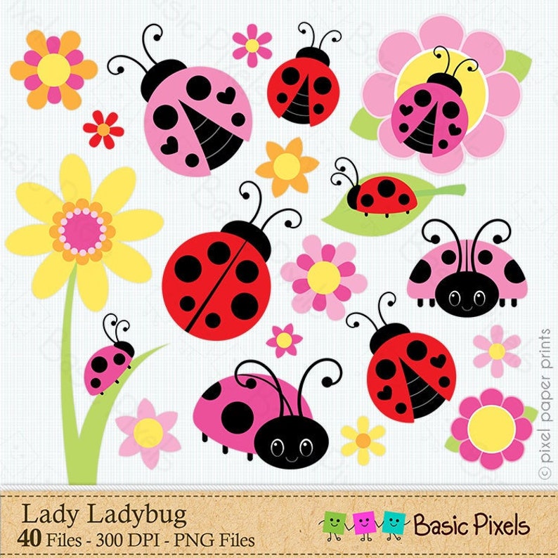 Ladybug Clipart Digital Clip Art Ladybug Graphics - Etsy