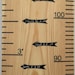 Growth Chart Add-on/24 Vinyl Stickers/height Markers/ Vinyl Markers for ...