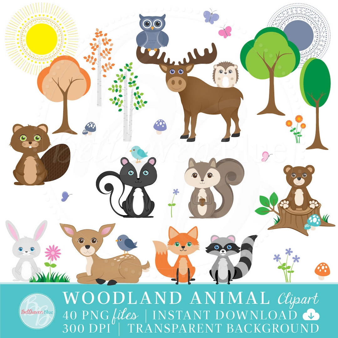 Woodland Animal Clipart, PNG, Digital Animal Art, Cute Animals, Forest ...