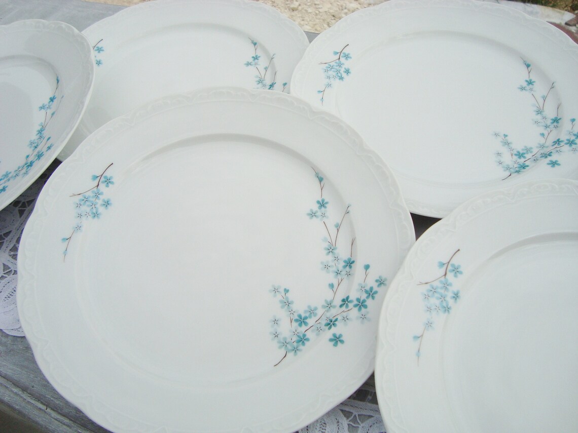 Set of 6 Vintage French Plates in White Porcelain With Pretty - Etsy