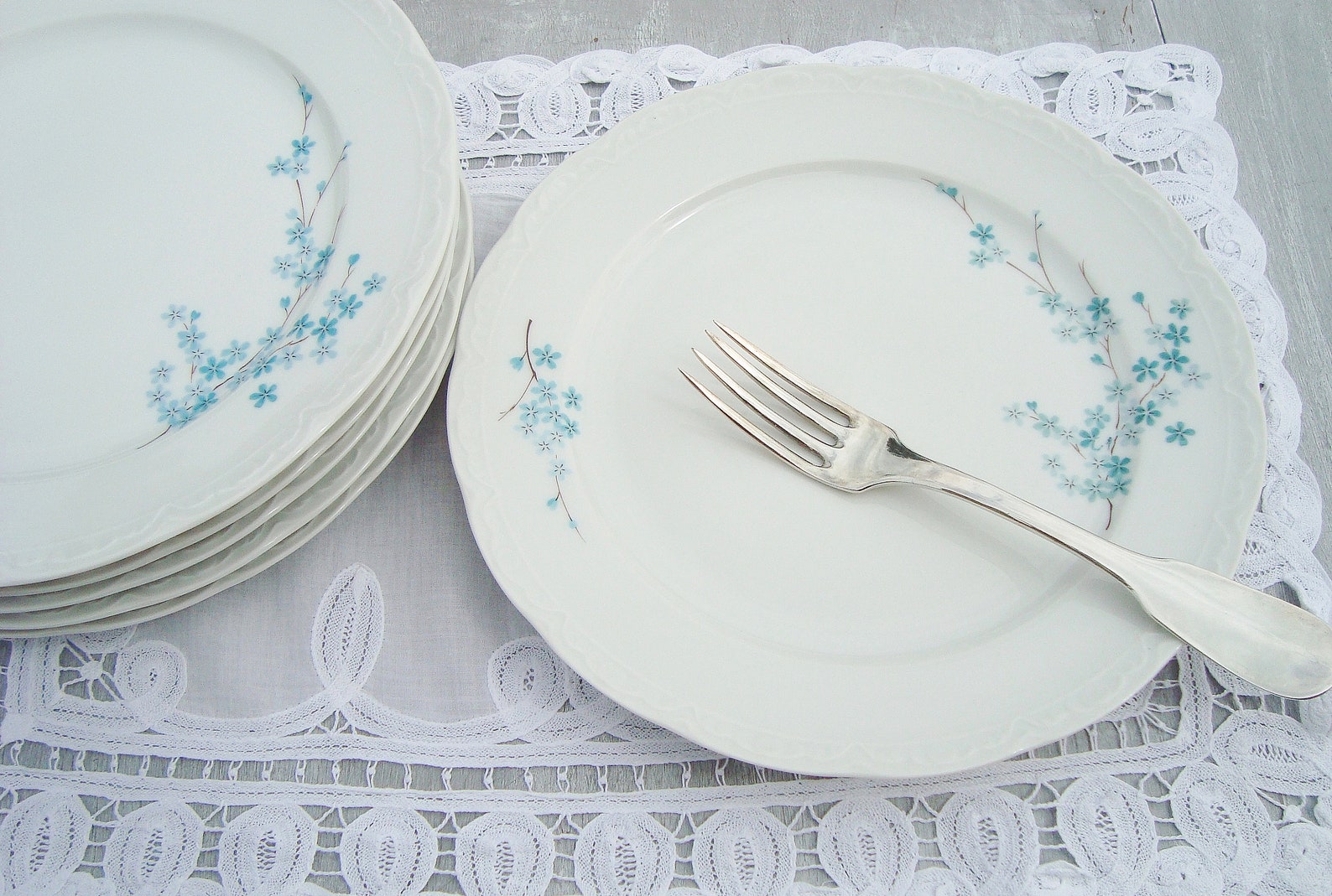 Set of 6 Vintage French Plates in White Porcelain With Pretty - Etsy