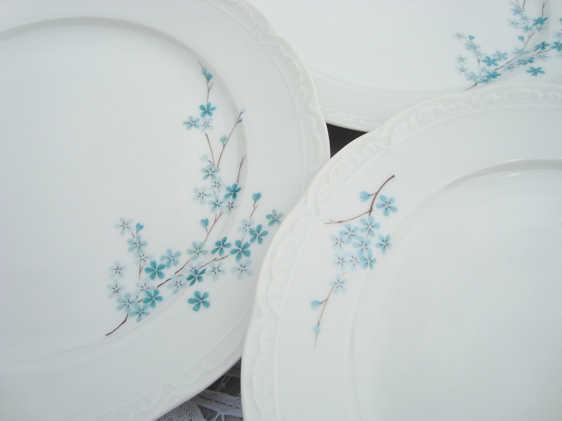 Set of 6 Vintage French Plates in White Porcelain With Pretty - Etsy