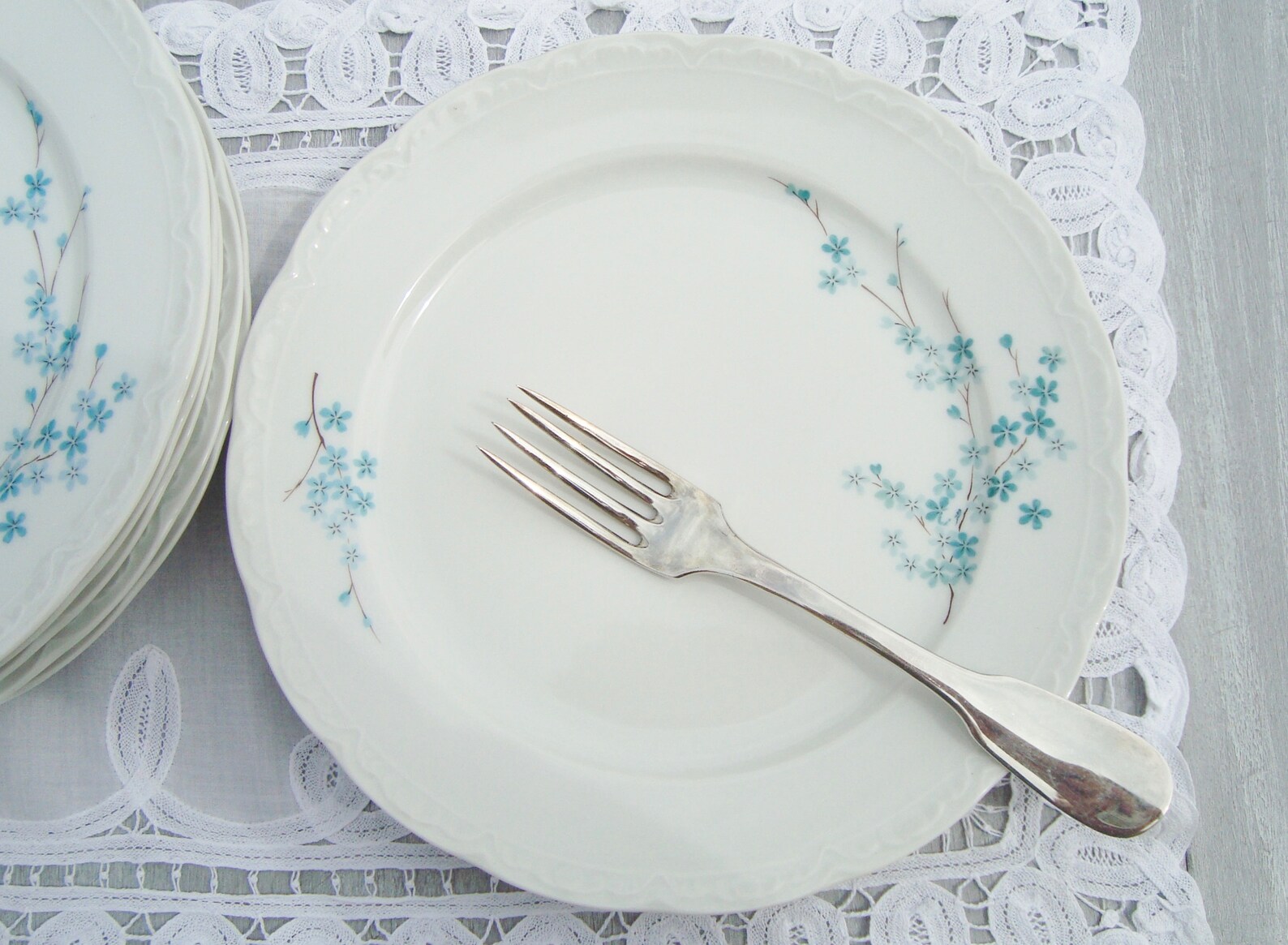Set of 6 Vintage French Plates in White Porcelain With Pretty - Etsy