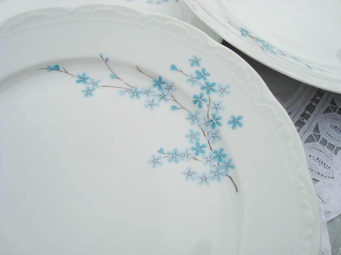 Set of 6 Vintage French Plates in White Porcelain With Pretty - Etsy