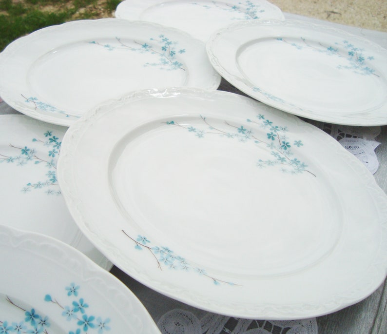 Set of 6 Vintage French Plates in White Porcelain With Pretty - Etsy