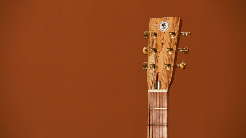 Handmade Solid Body Electric Guitar Made From Salvaged Woods Model Hr ...