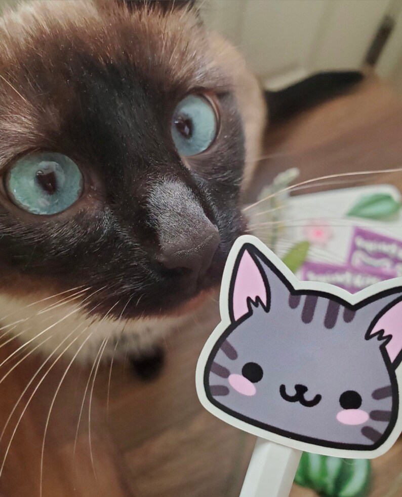 Cat Sticker Sheet / Cat Stickers / Squishy Kitties / Animal Stickers - Etsy