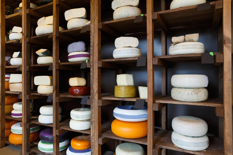 50 Rare Cheese Making Books, Vintage Traditional Recipes, Hard Cheese ...