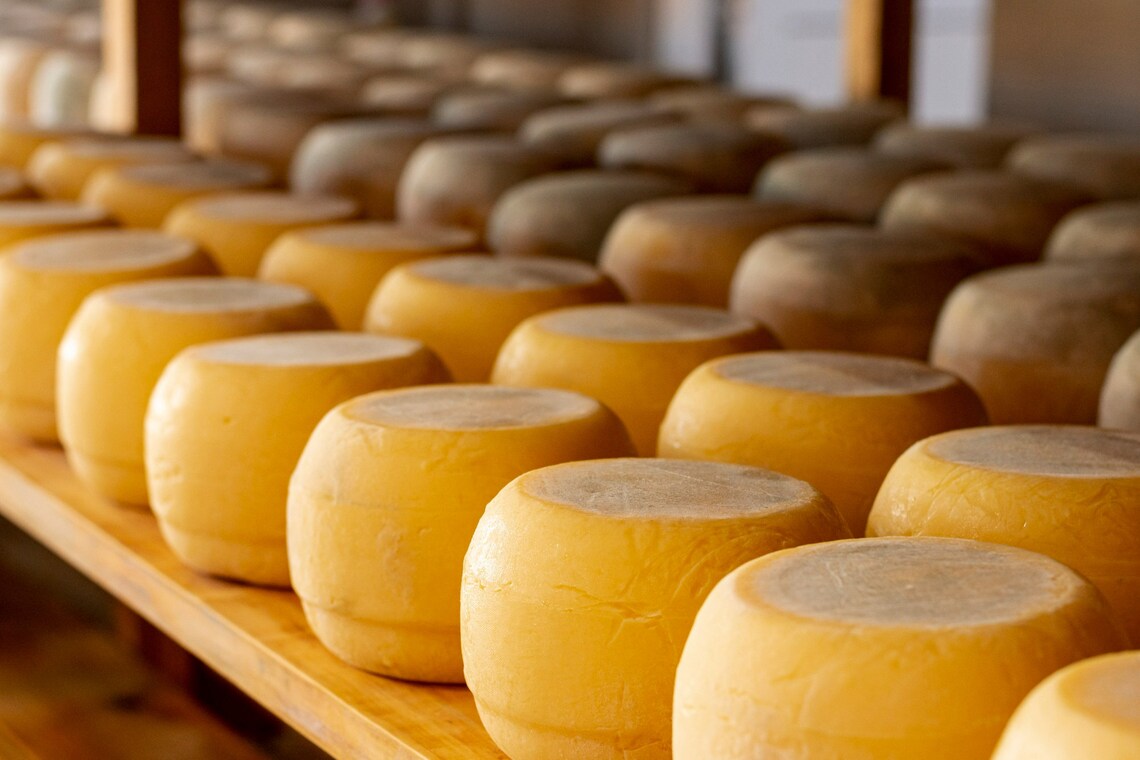 50 Rare Cheese Making Books, Vintage Traditional Recipes, Hard Cheese ...