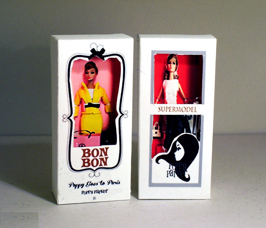 1:6 Scale Fashion Doll Box Set - Playscale Accessory for Fashion ...