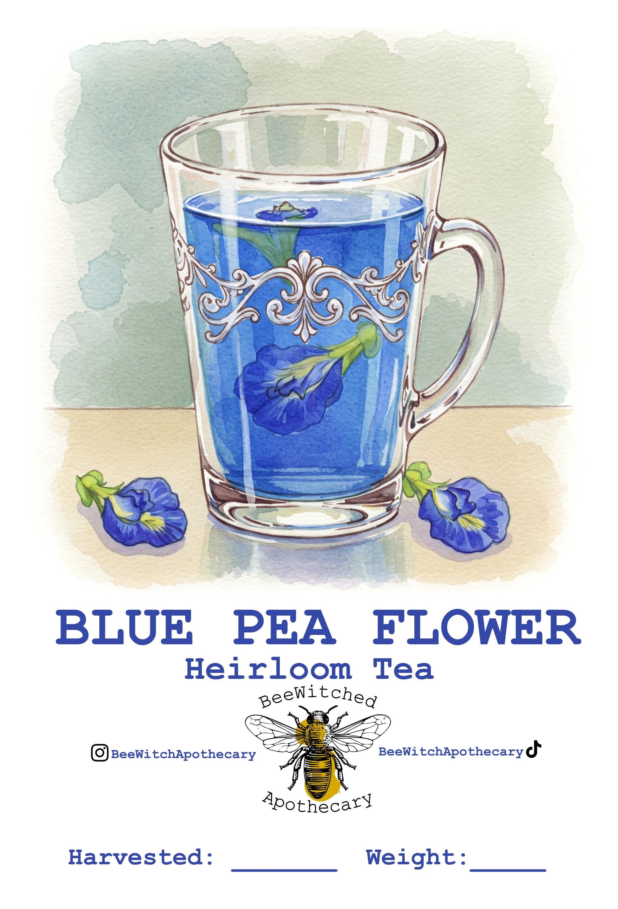 1 Gram Blue Pea Flower Tea - Etsy