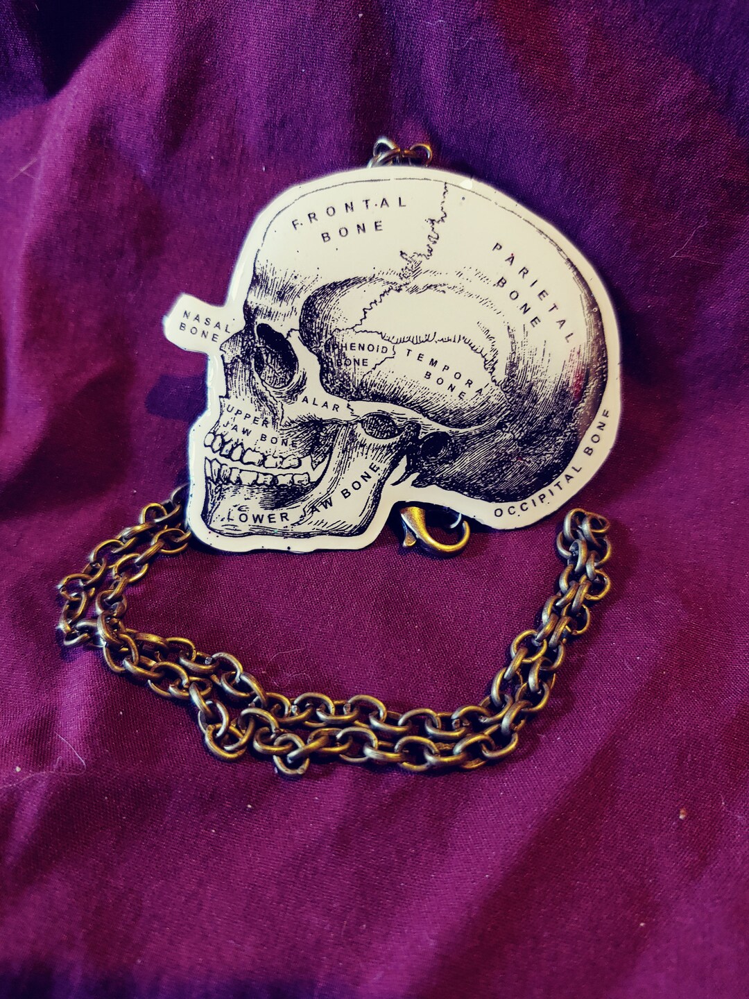 Skull Diagram Resin Pendant - Etsy