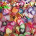 100pcs Fimo Polymer Clay Slices, Fine Slices for Nail Design, Nail Art ...