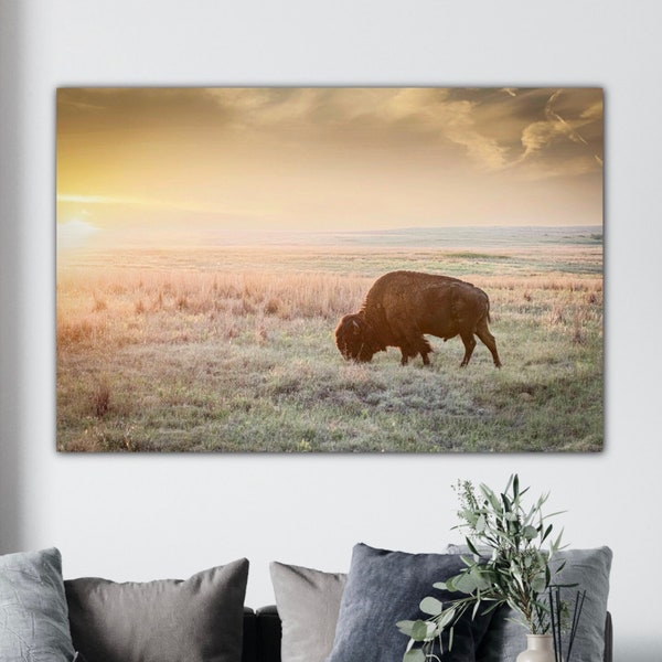 Bison Canvas - Etsy