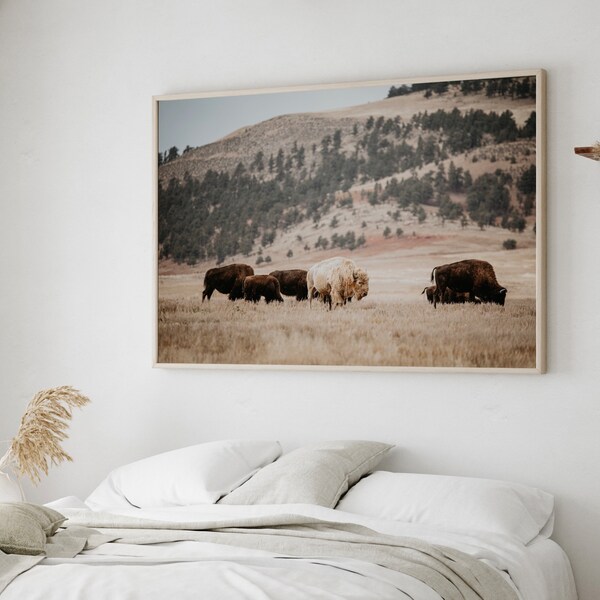 Extra Large Frame - Etsy