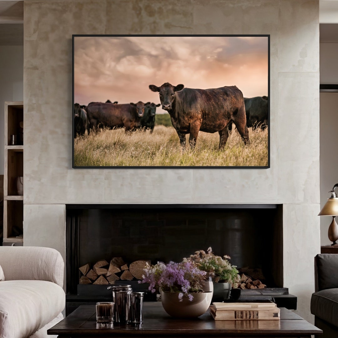 Black Angus Cattle Canvas - Large Cow Canvas - Oversize Western Decor ...