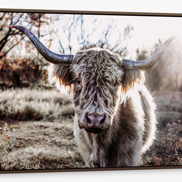 Highland Cow Metal Frame Art - Etsy