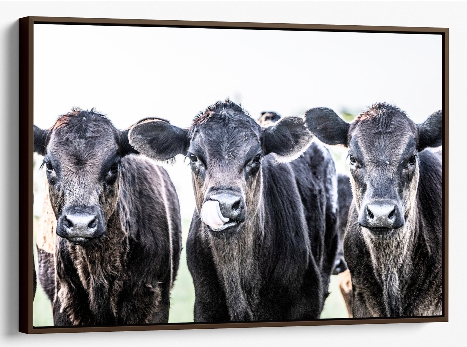 Western Nursery Decor Black Angus Wall Art Canvas Baby Farm | Etsy