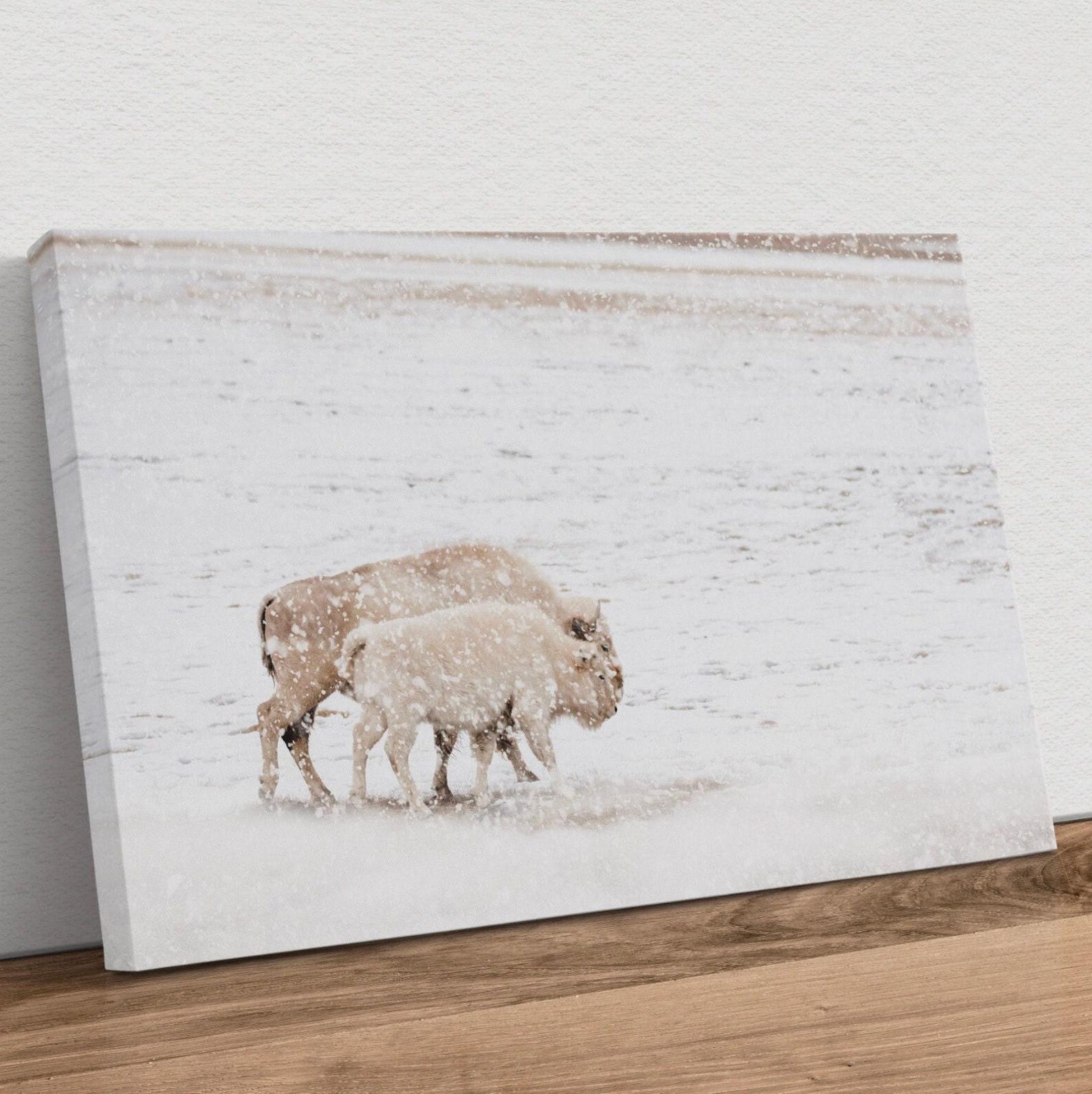 White Bison Wall Art - Spirit Buffalo Canvas Print - Native American ...