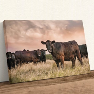 Black Angus Cattle Canvas - Large Cow Canvas - Oversize Western Decor ...