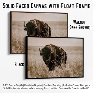 Buffalo Wall Art - Bison Canvas Print - Western American Bison Wall Art ...
