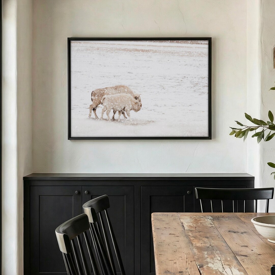 White Bison Wall Art - Spirit Buffalo Canvas Print - Native American ...