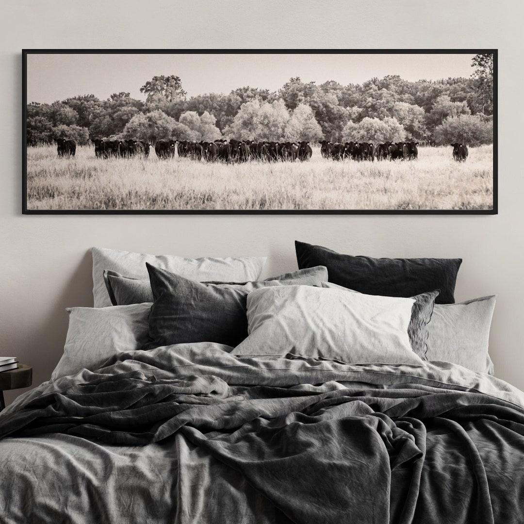 Black & White Angus Cow Panoramic Photo Large Wall Art Ranch Style ...
