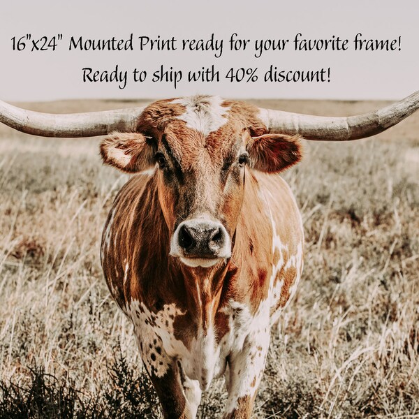 Longhorn Wall Mount - Etsy