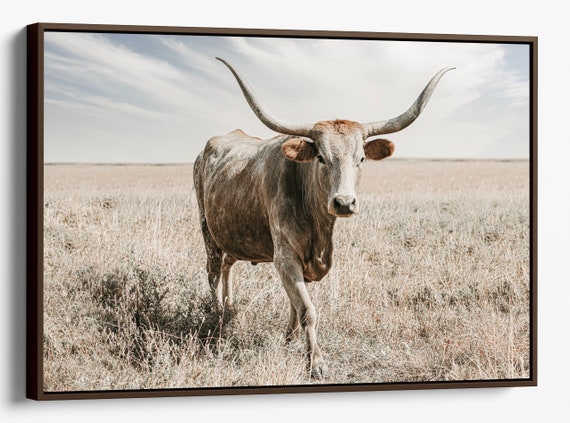 barnwood frames. Large print available Texas Longhorn picture Western ...