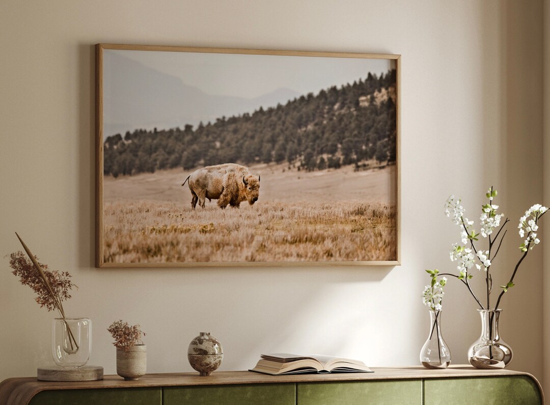 White Buffalo Art, Native American Bison Canvas, Bison Wall Art, White ...